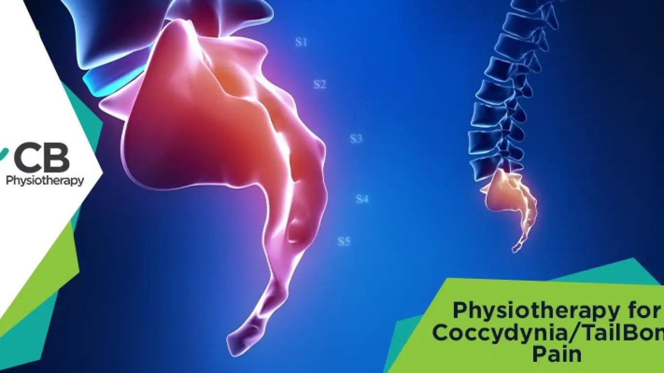 What is Tailbone Pain and How Physiotherapy can help! | Blog by CB ... What is Tailbone Pain and How Physiotherapy can help! | Blog by CB ...